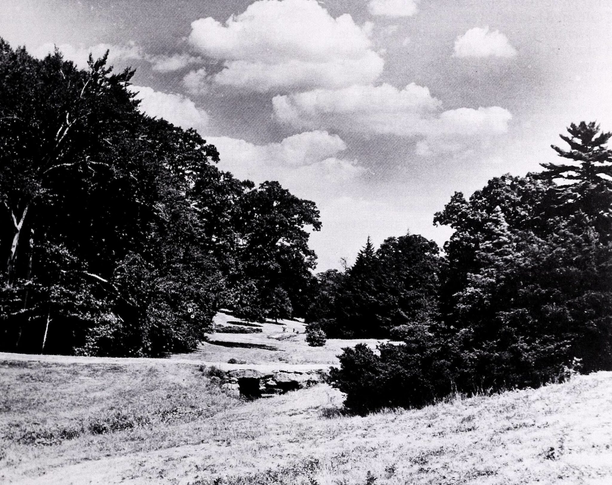The Arnold Arboretum: An Historic Park Partnership - Arnold Arboretum