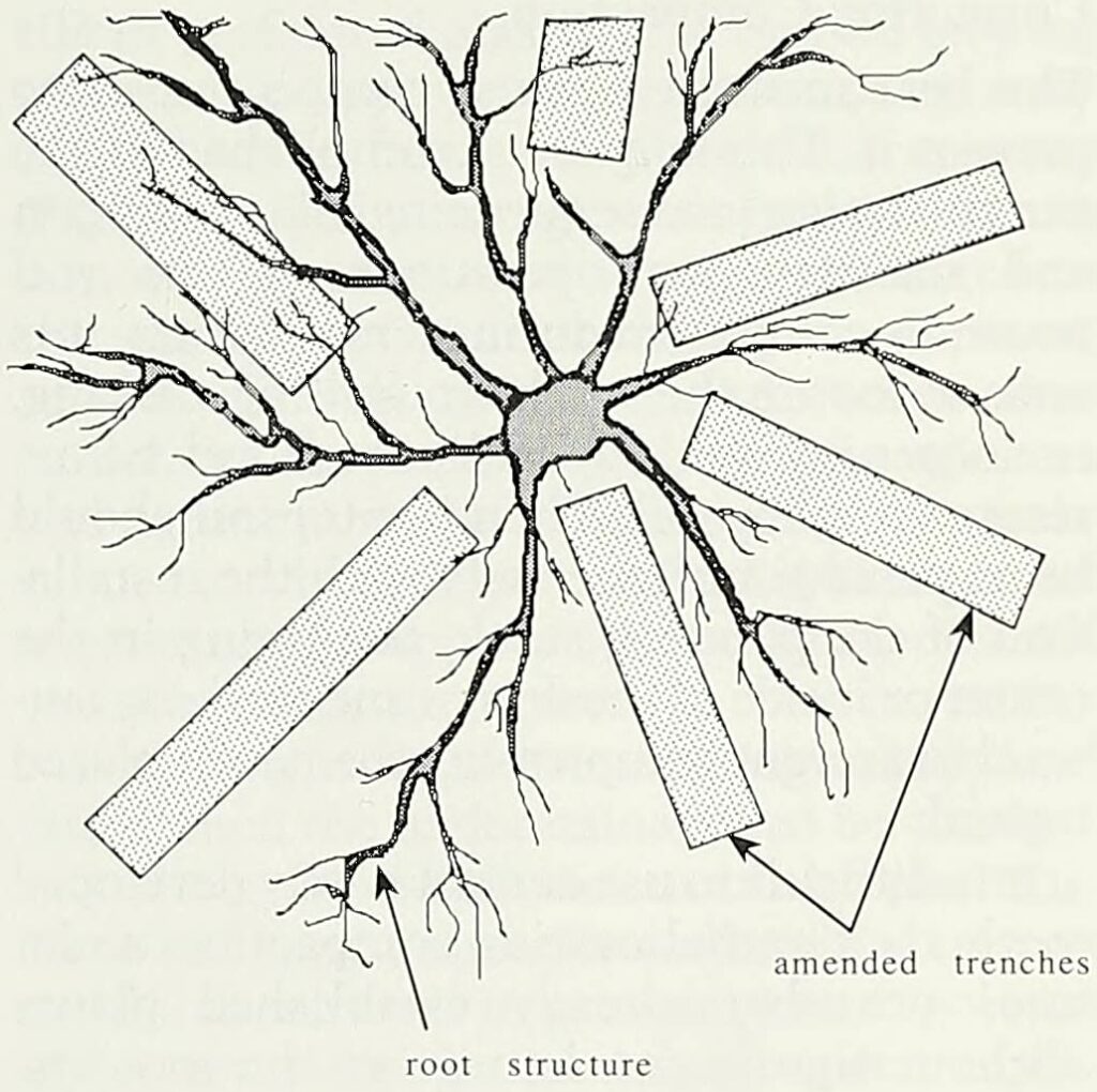 Urban Soil: Problems and Promise - Arnold Arboretum
