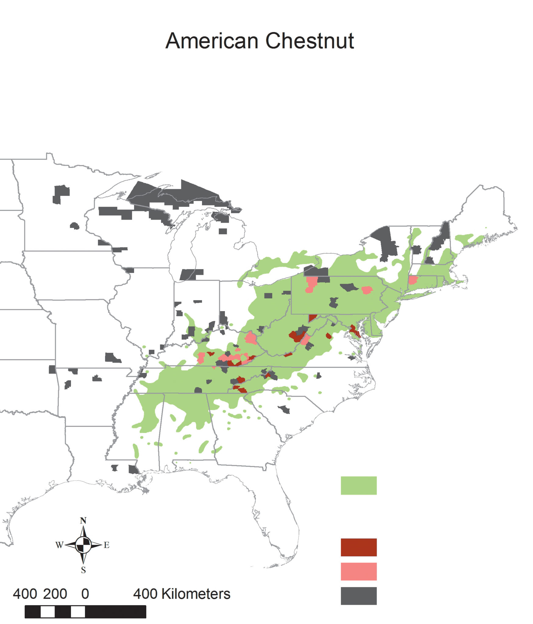 Did American Chestnut Really Dominate the Eastern Forest? - Arnold ...