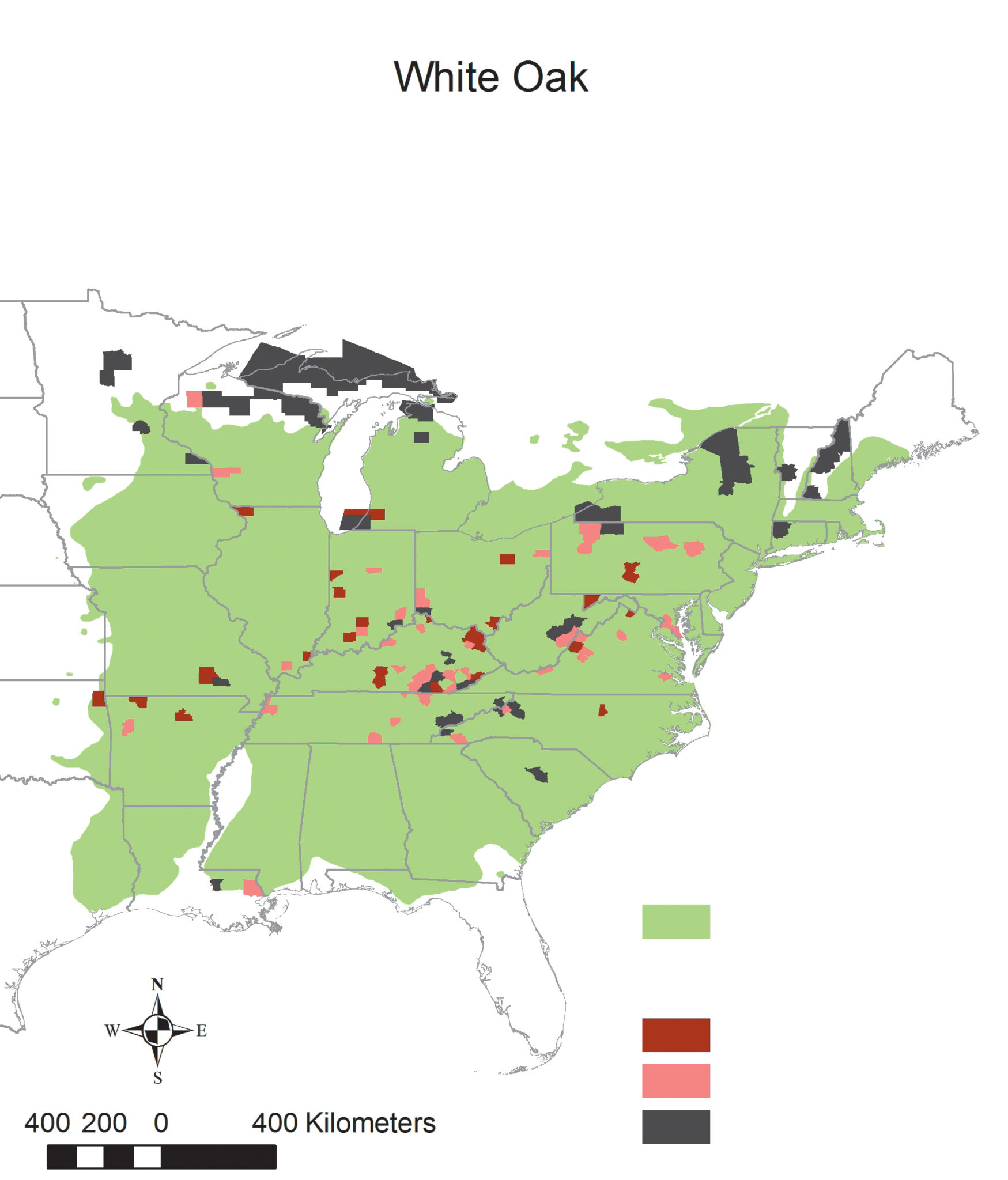 Did American Chestnut Really Dominate the Eastern Forest? - Arnold ...