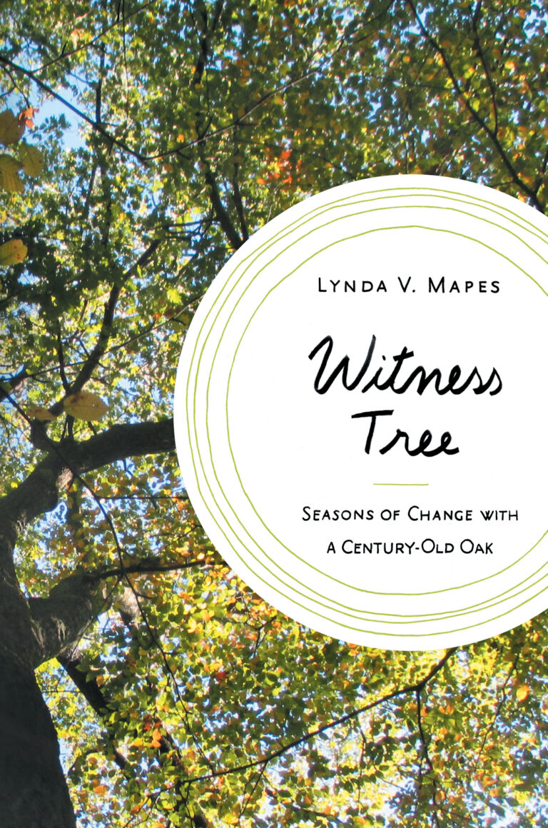 Witness Tree: What a Single, 100-Year-Old Oak Tells Us About Climate ...