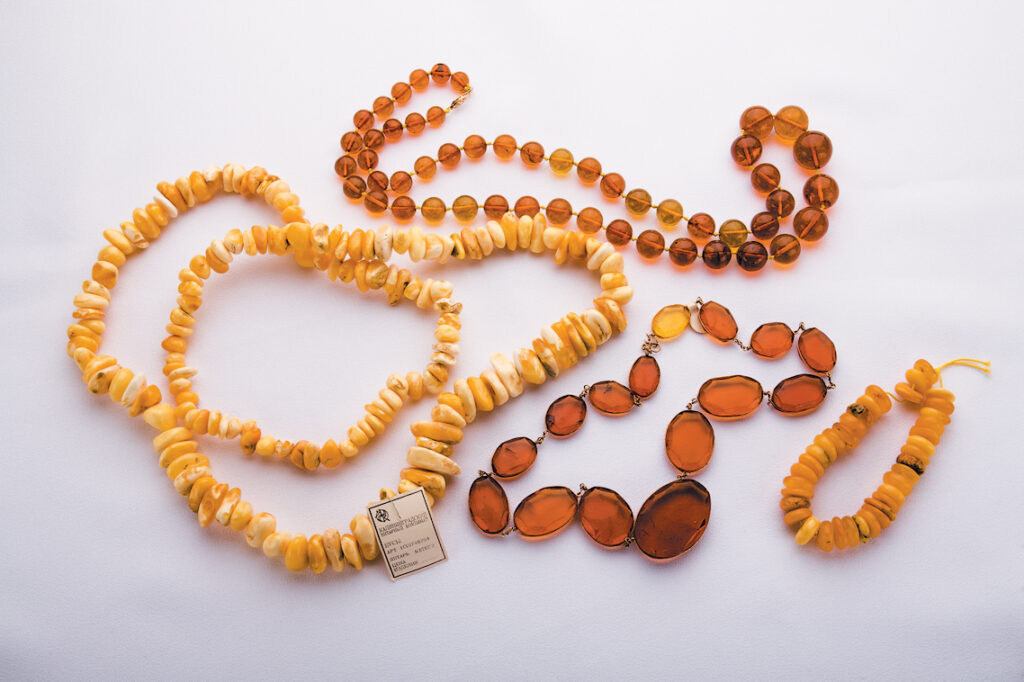 Plant Exudates and Amber: Their Origin and Uses - Arnold Arboretum