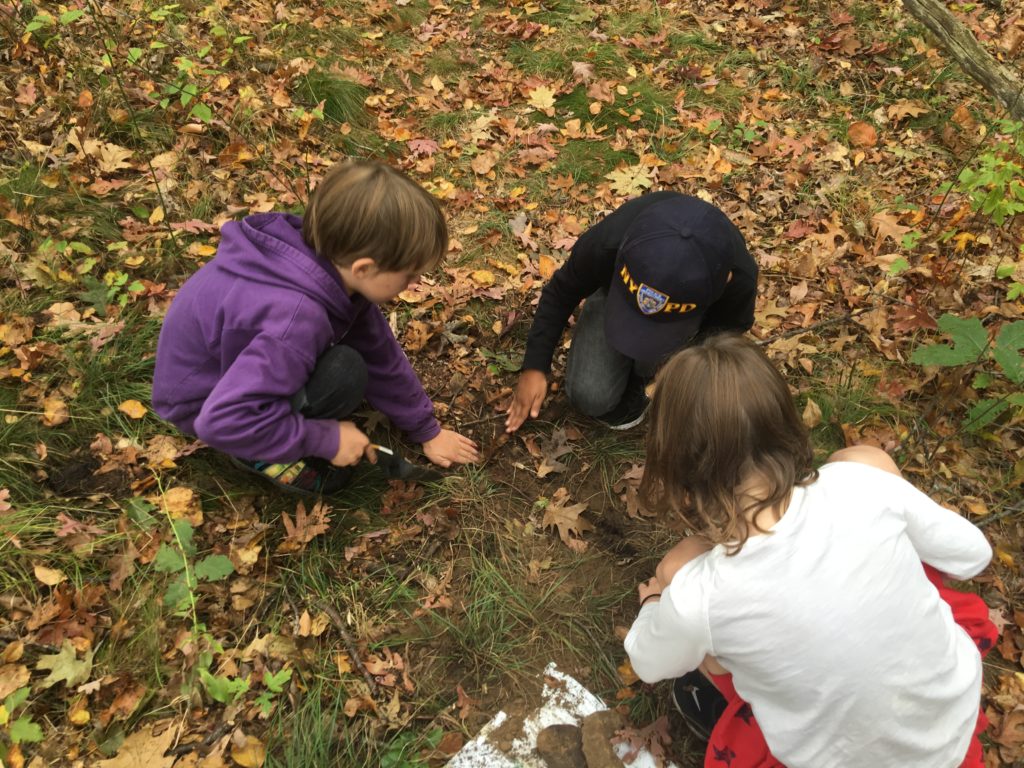 Self-Guided School Trips - Arnold Arboretum