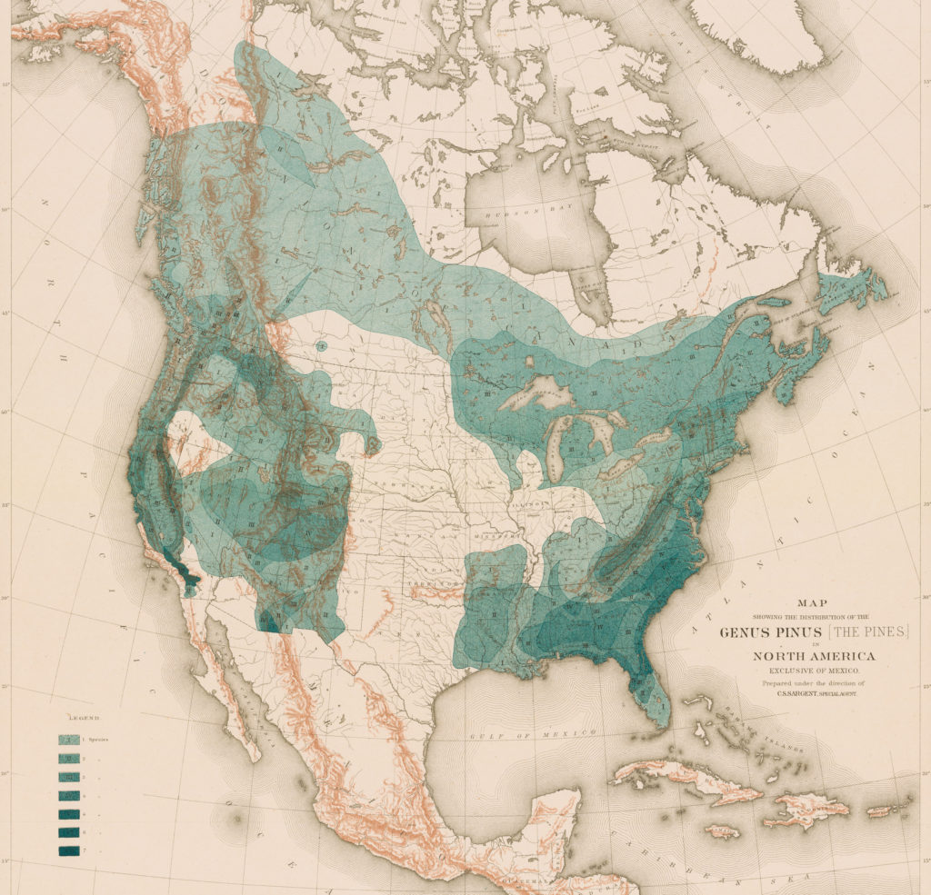 Roaming through Ranges: The Evolution of Tree Species Distribution Maps ...