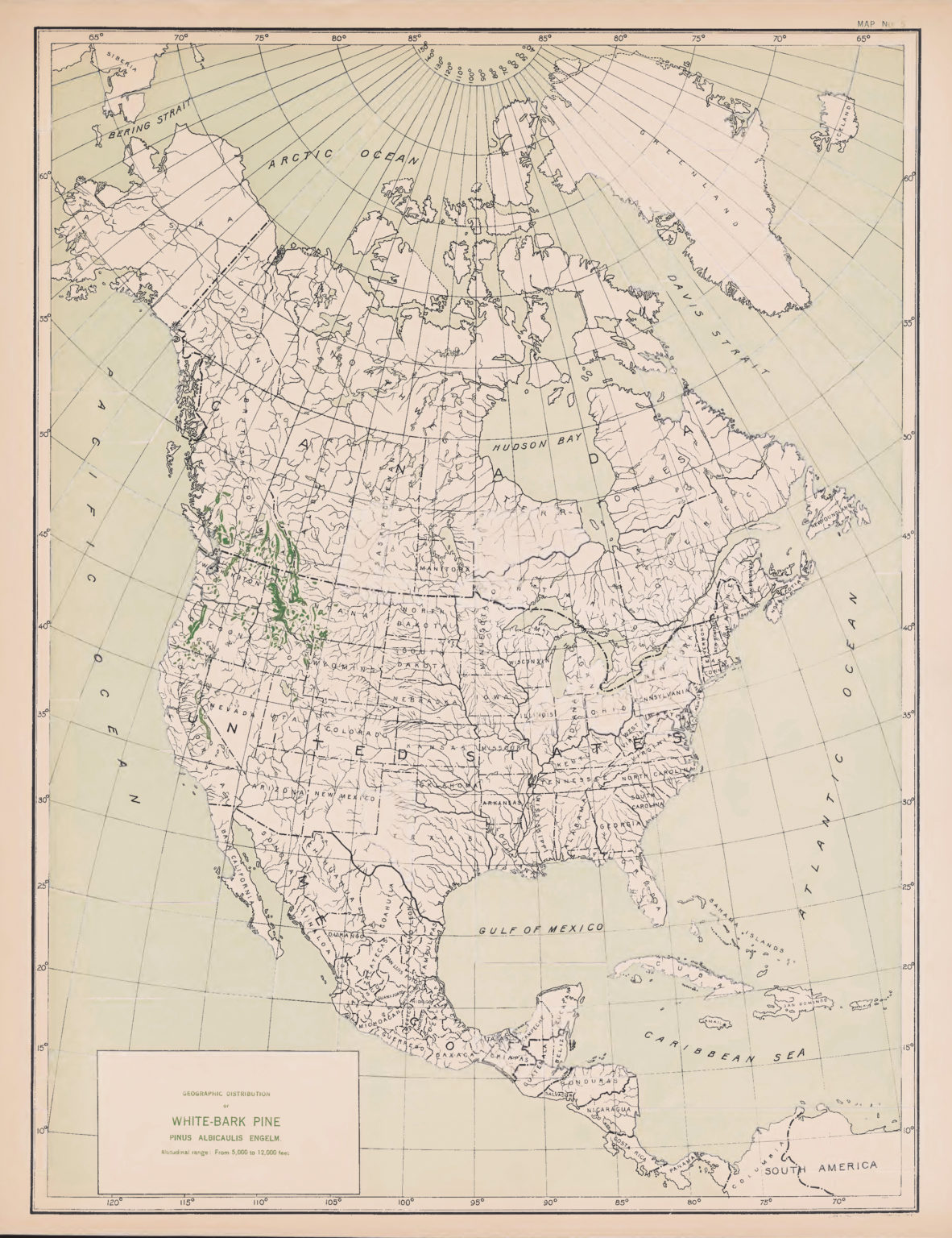 Roaming through Ranges: The Evolution of Tree Species Distribution Maps ...