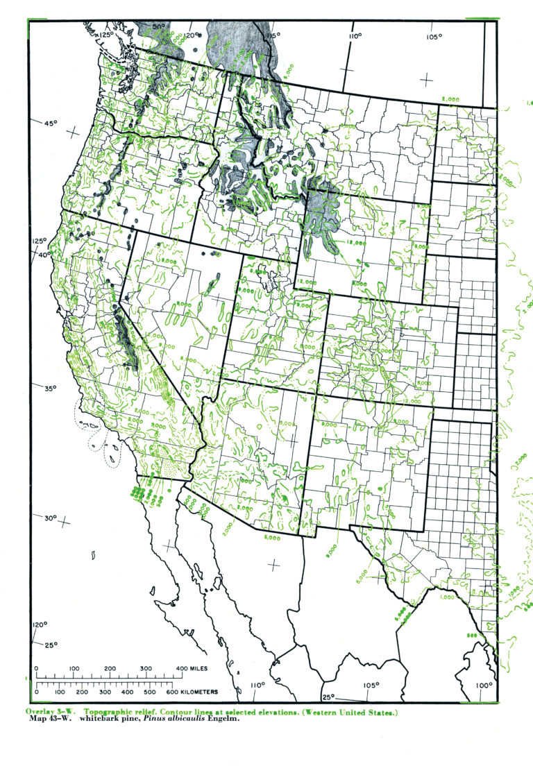 Roaming through Ranges: The Evolution of Tree Species Distribution Maps ...
