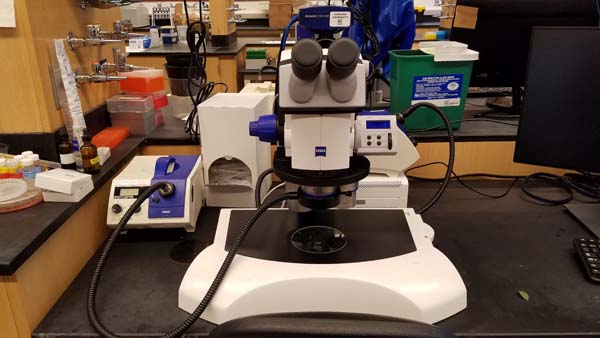 Weld Hill Microscopy Lab - Arnold Arboretum | Arnold Arboretum