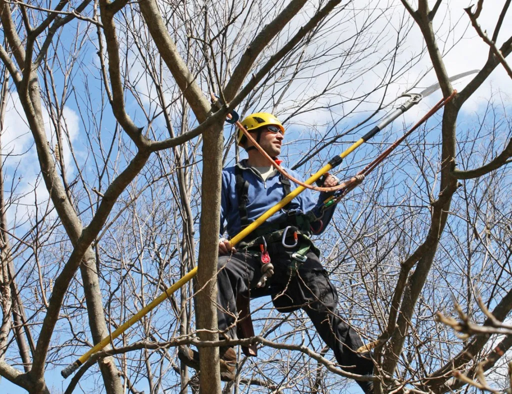 Horticultural Training at the Arnold Arboretum - Arnold Arboretum ...