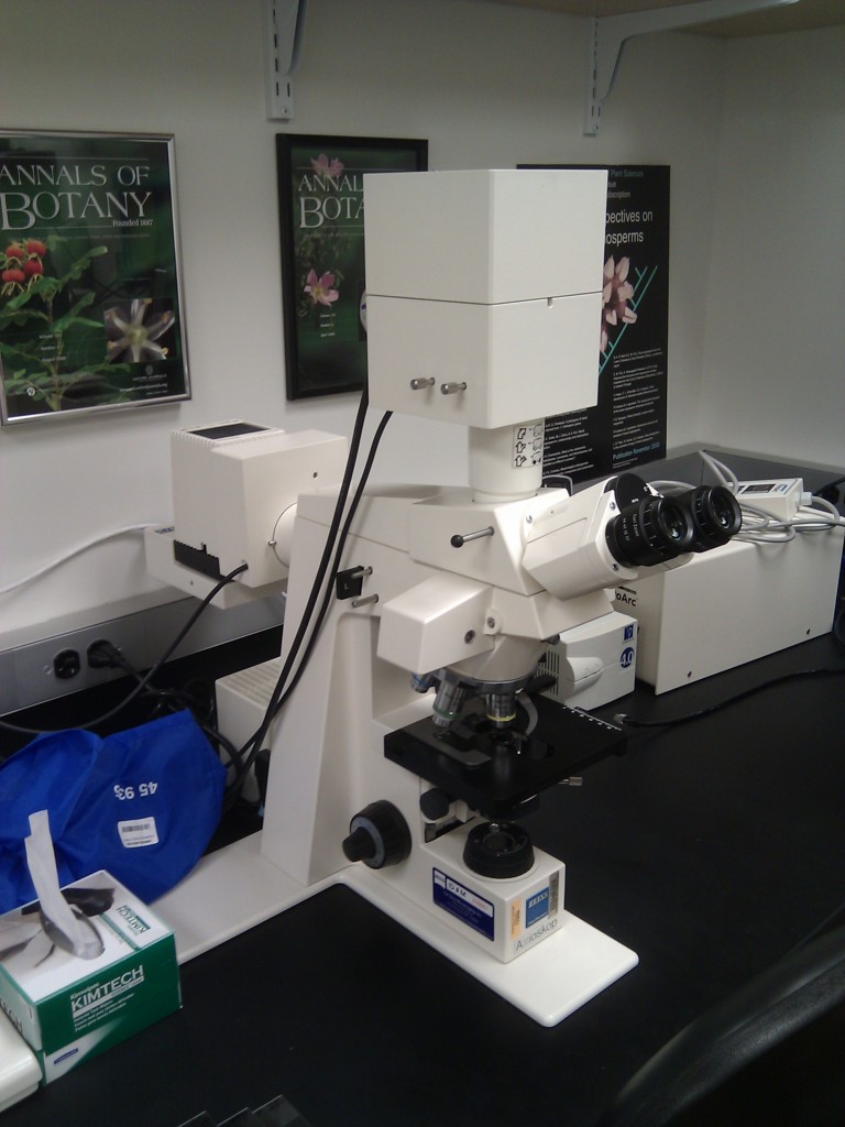 Weld Hill Microscopy Lab - Arnold Arboretum | Arnold Arboretum