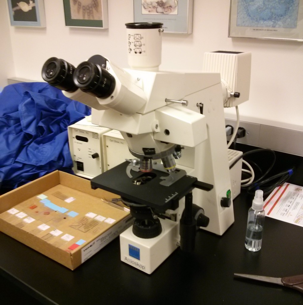 Weld Hill Microscopy Lab - Arnold Arboretum | Arnold Arboretum