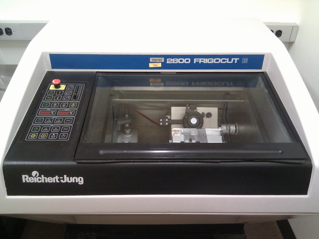 Weld Hill Microscopy Lab - Arnold Arboretum | Arnold Arboretum