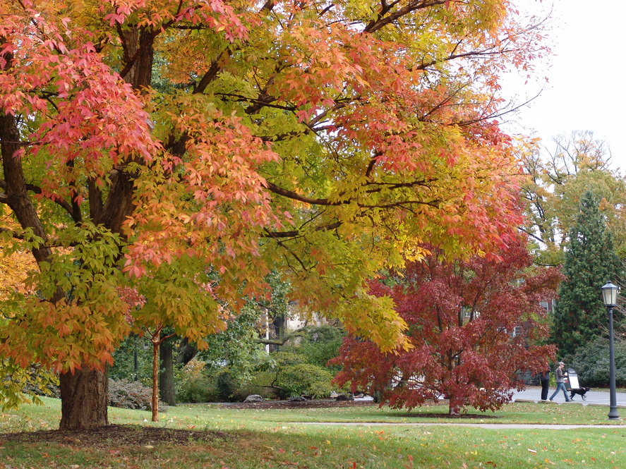 Data Resources Arnold Arboretum Arnold Arboretum