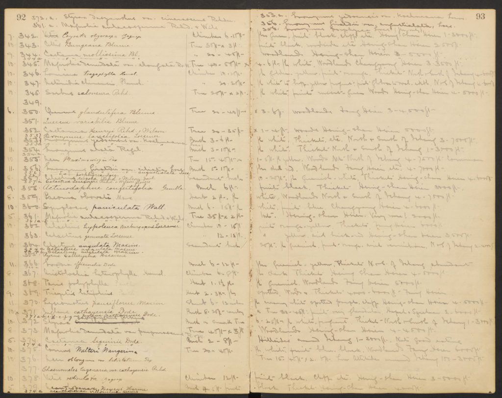 Ernest Henry Wilson's Manuscript Legacy - Arnold Arboretum | Arnold ...