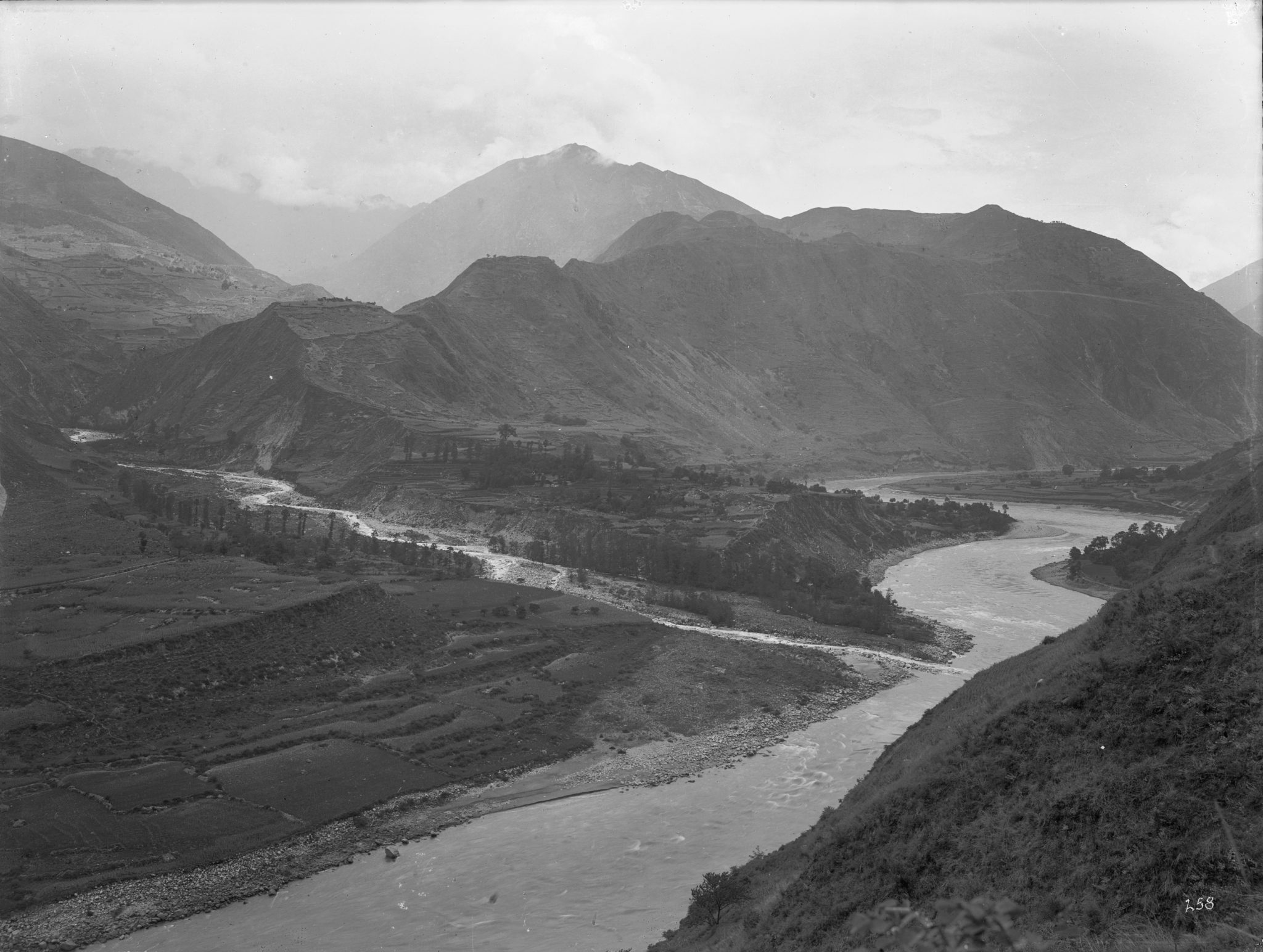 Visual Archives - Arnold Arboretum