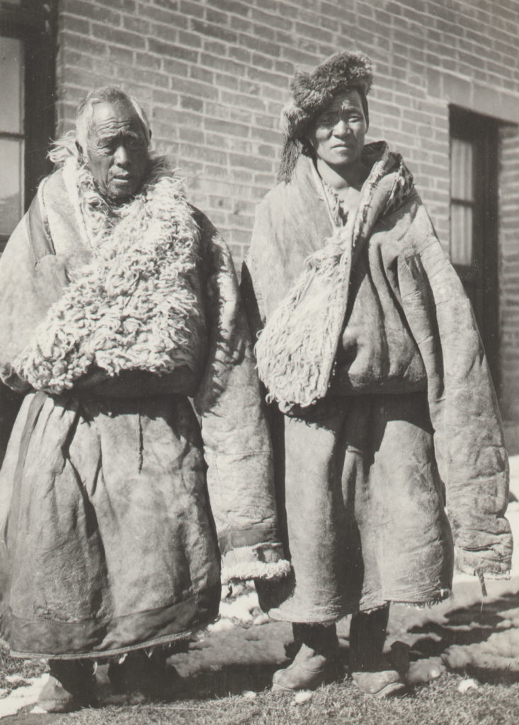 Visual Archives - Arnold Arboretum