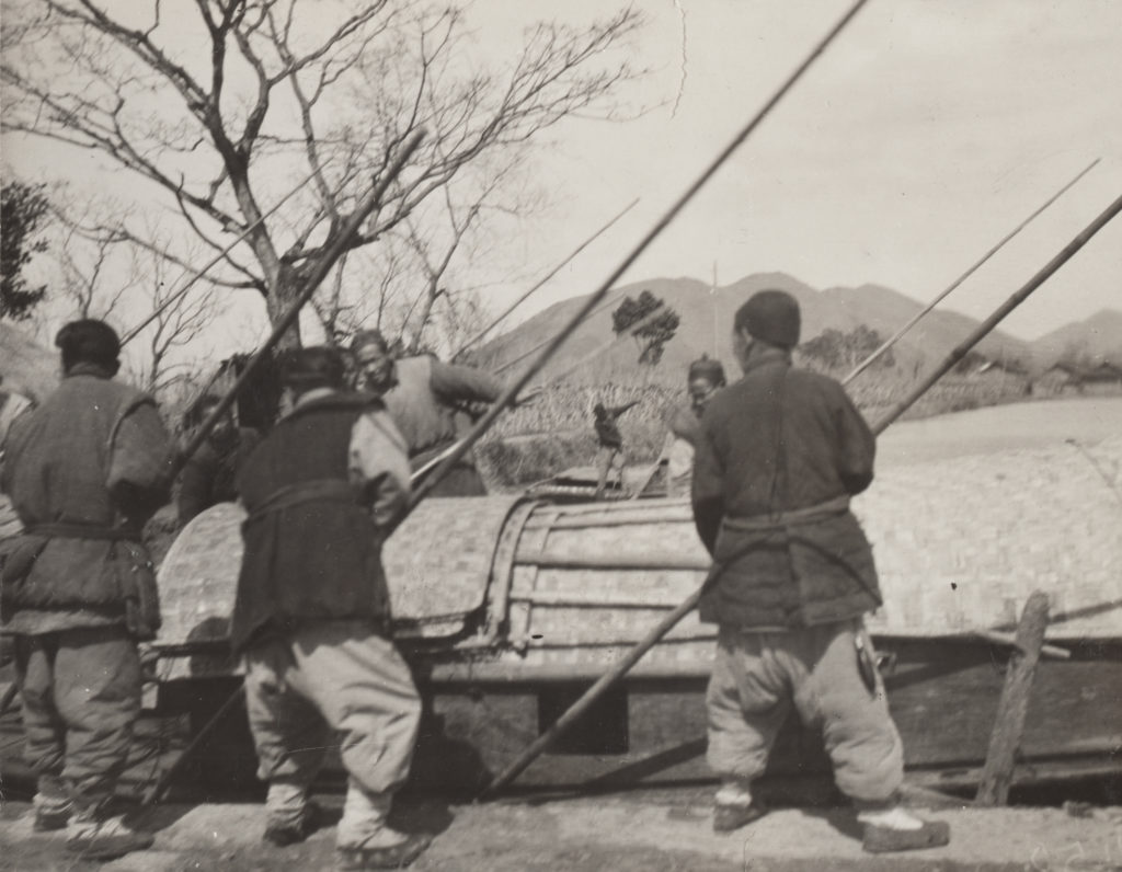 Visual Archives - Arnold Arboretum