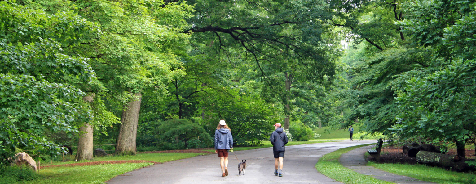 The Arnold Arboretum of Harvard University