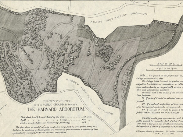 Welcoming the Public: The Arboretum’s Entrances - Arnold Arboretum ...
