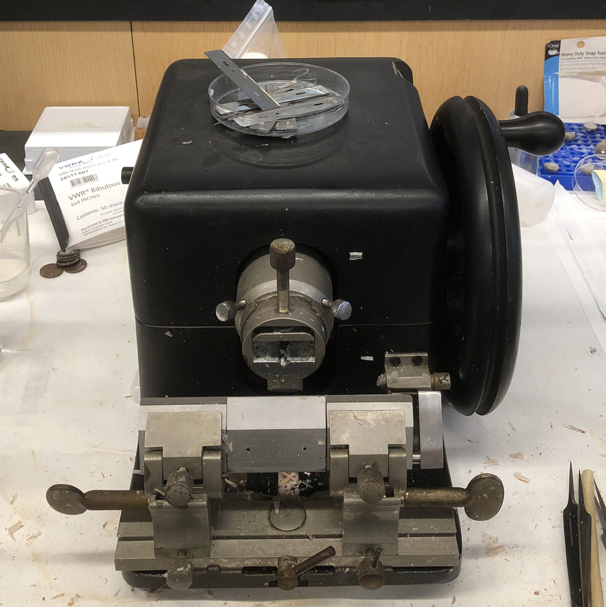 Weld Hill Microscopy Lab - Arnold Arboretum