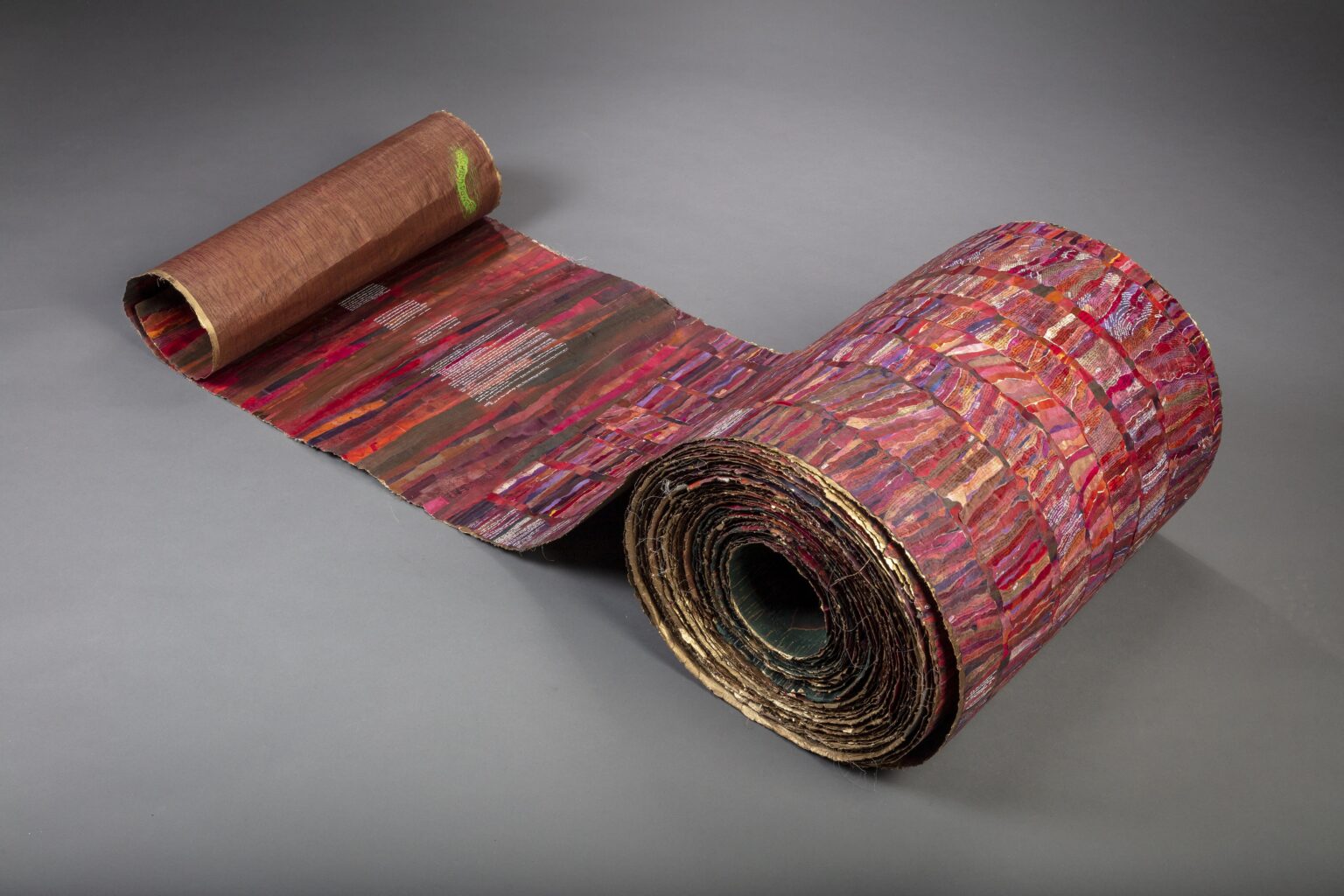 A Scroll Through The Overstory - Arnold Arboretum