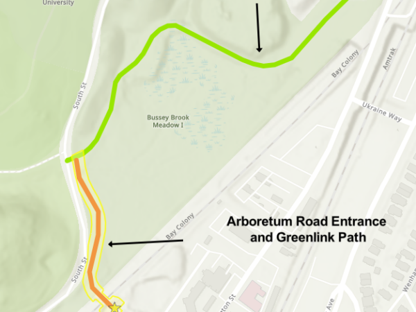 Roslindale Gateway Path Project - Arnold Arboretum | Arnold Arboretum