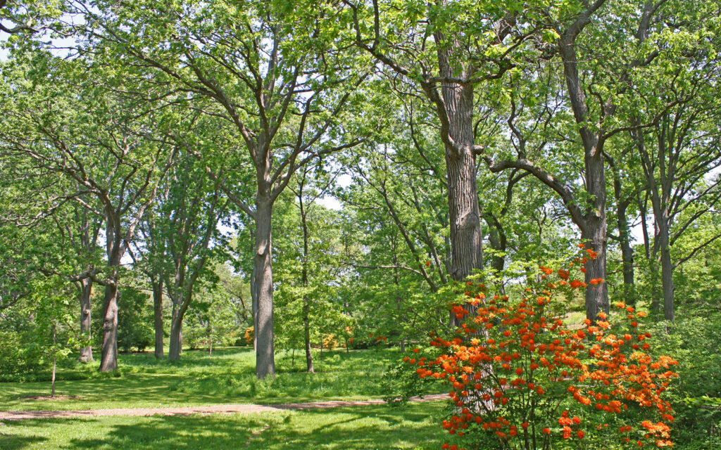 Arboretum Among Host Gardens for 2024 APGA Conference - Arnold ...