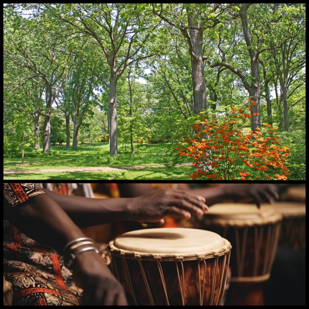 African Drumming in the Oaks | Arnold Arboretum