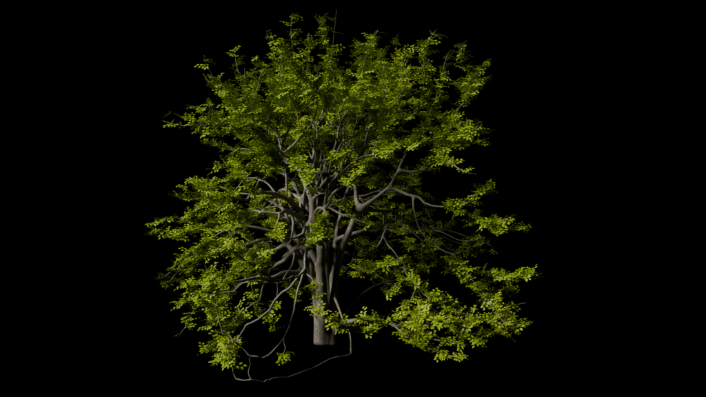 Ghost Trees: An Augmented Reality Exhibit - Arnold Arboretum