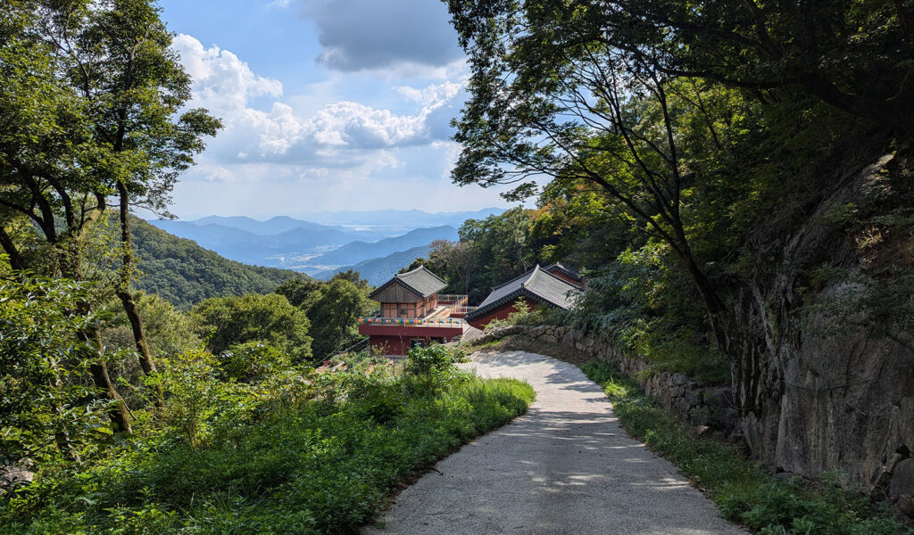 Plant Collecting in Korea - Arnold Arboretum