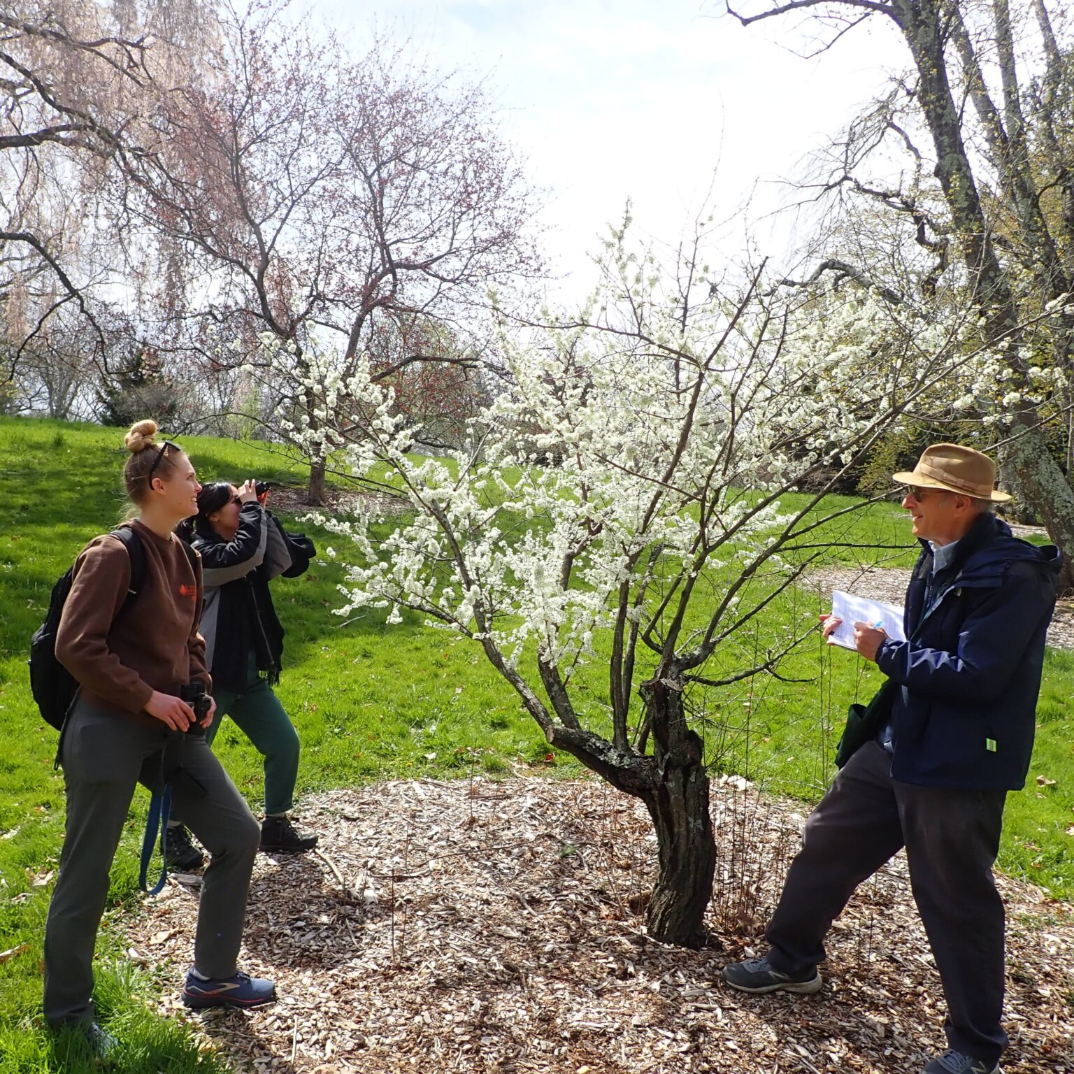 Arboretum Award Recipients - Arnold Arboretum