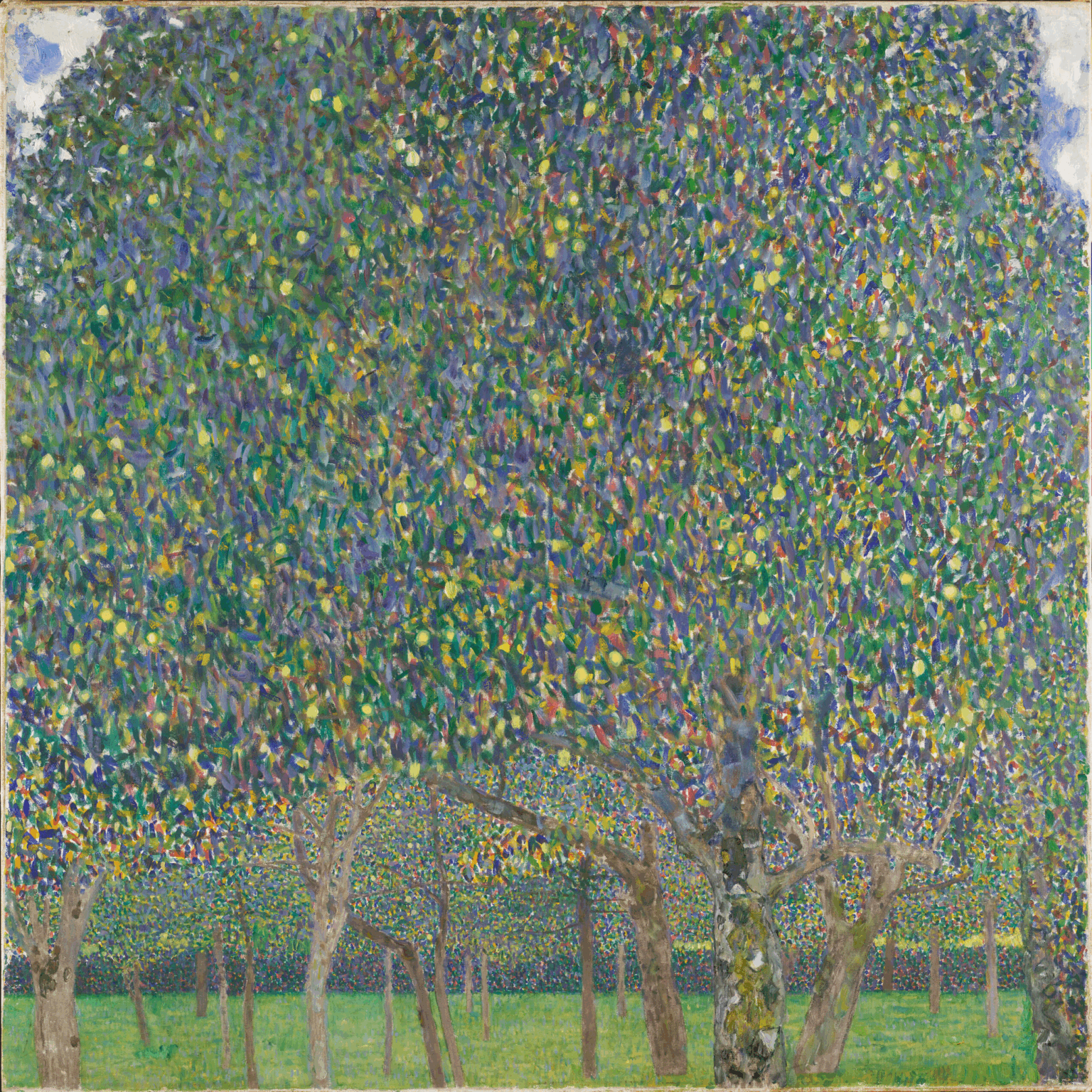 Arb/Art Double Take: Pears - Arnold Arboretum